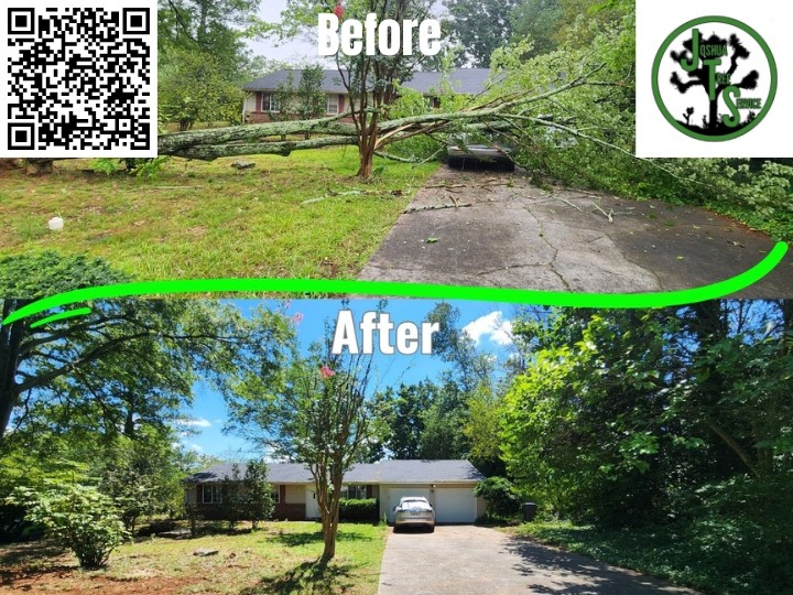 Emergency Tree Service in Marietta, GA | 24/7 Storm Damage & Tree Removal